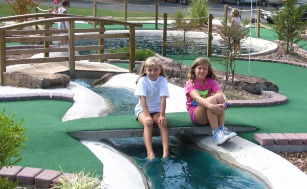 Public Golf Courses And Mini Golf – Fairfield Bay Chamber of Commerce ...